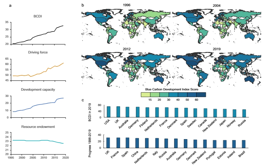 ZJU scientists explore global potential for Blue Carbon Ecosystems