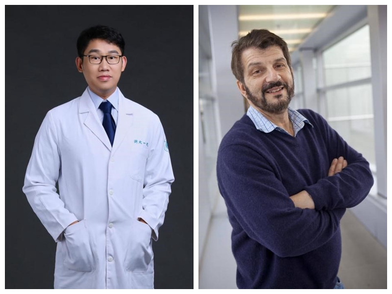 ZJU and Harvard scientists uncover new findings on stiff hydrogel ...