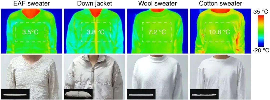 Nature’s blueprint: ‘Polar Bear Sweater 2.0’ inspired by wildlife’s ...