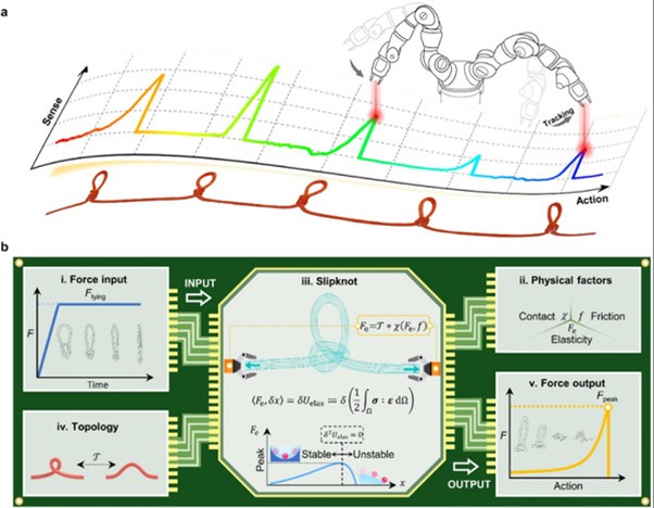 ZJU’s “slipknot” research featured in Nature: a single suture tackles ...