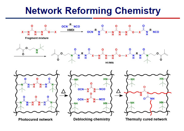 ZJU scientists develop approach to transforming polyurethane forms into ...