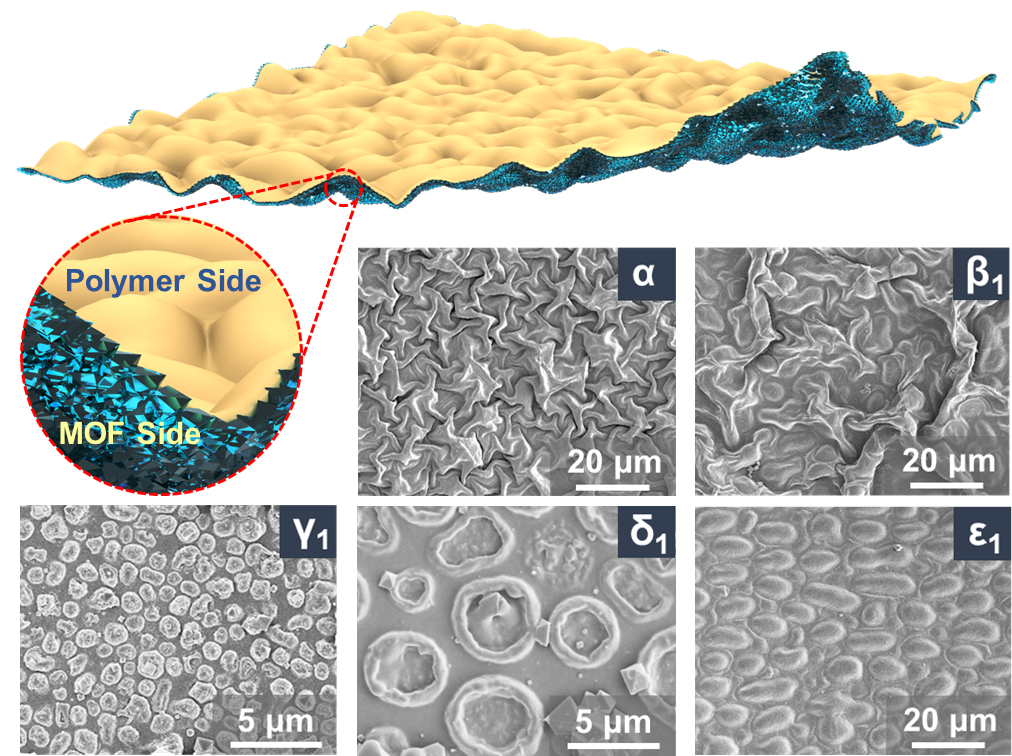 褶皱，让MOF薄膜焕发生机