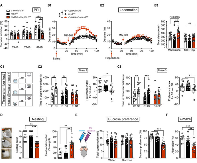 基础医学院胡薇薇/陈忠教授团队在PNAS发文揭示了基于组胺H2受体的精神分裂症治疗新药物靶标