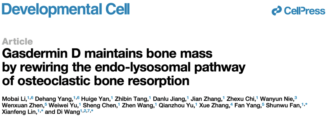 基础医学院王迪课题组《Developmental Cell》揭示GSDMD在组织稳态中生理功能并报道其新切割片段抑制溶酶体成熟的生物学功能