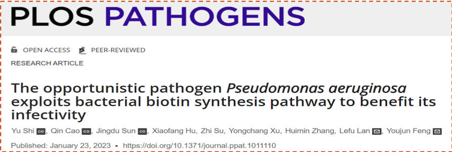 基础医学院冯友军课题组《PLOS Pathogens》发文揭示抗ESKAPE感染的生物素代谢靶点