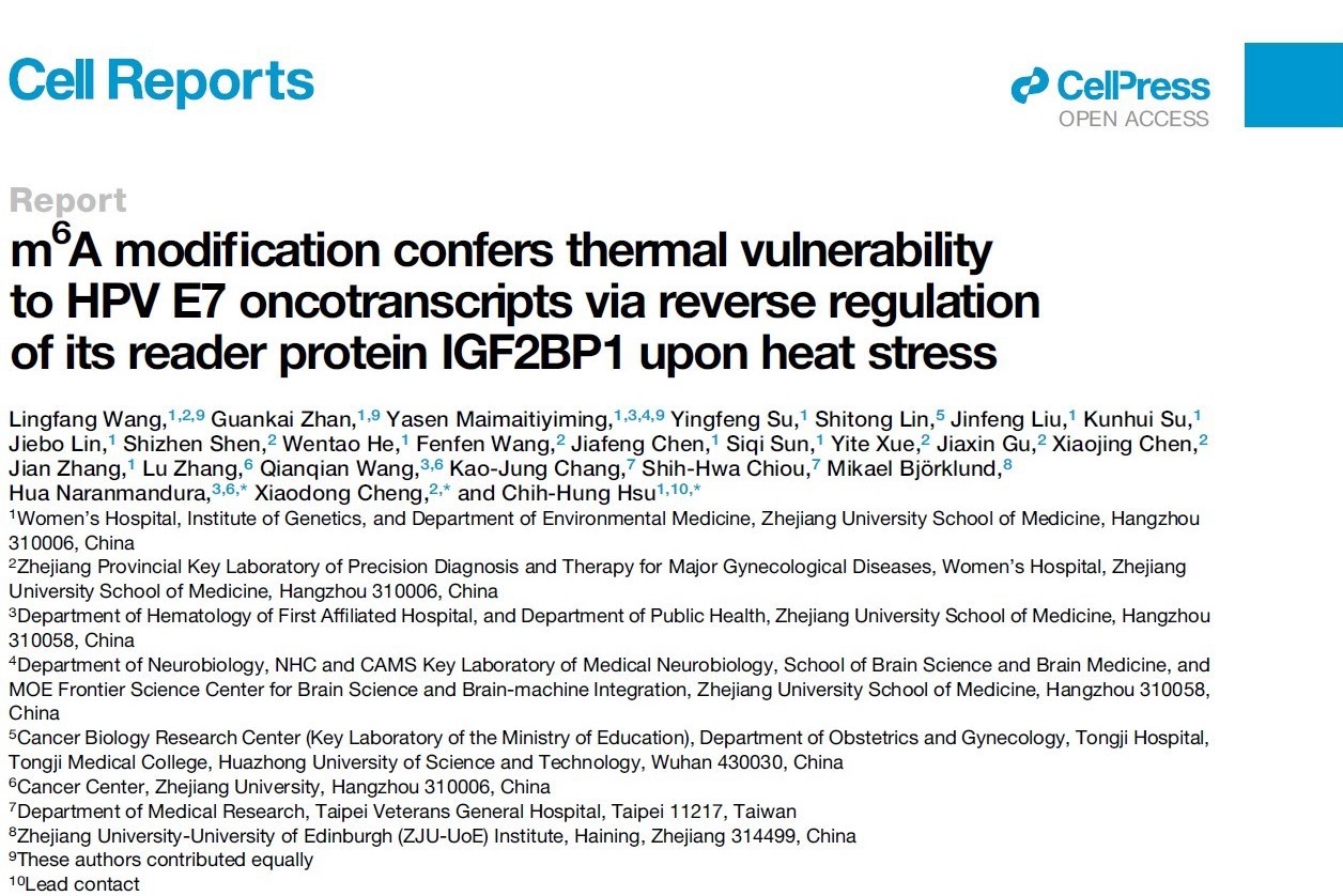 Cell Reports封面│许志宏/程晓东/那仁满都拉揭示热介导m6A修饰mRNA反向调控m6A识别蛋白命运以降解癌RNA-蛋白复合体