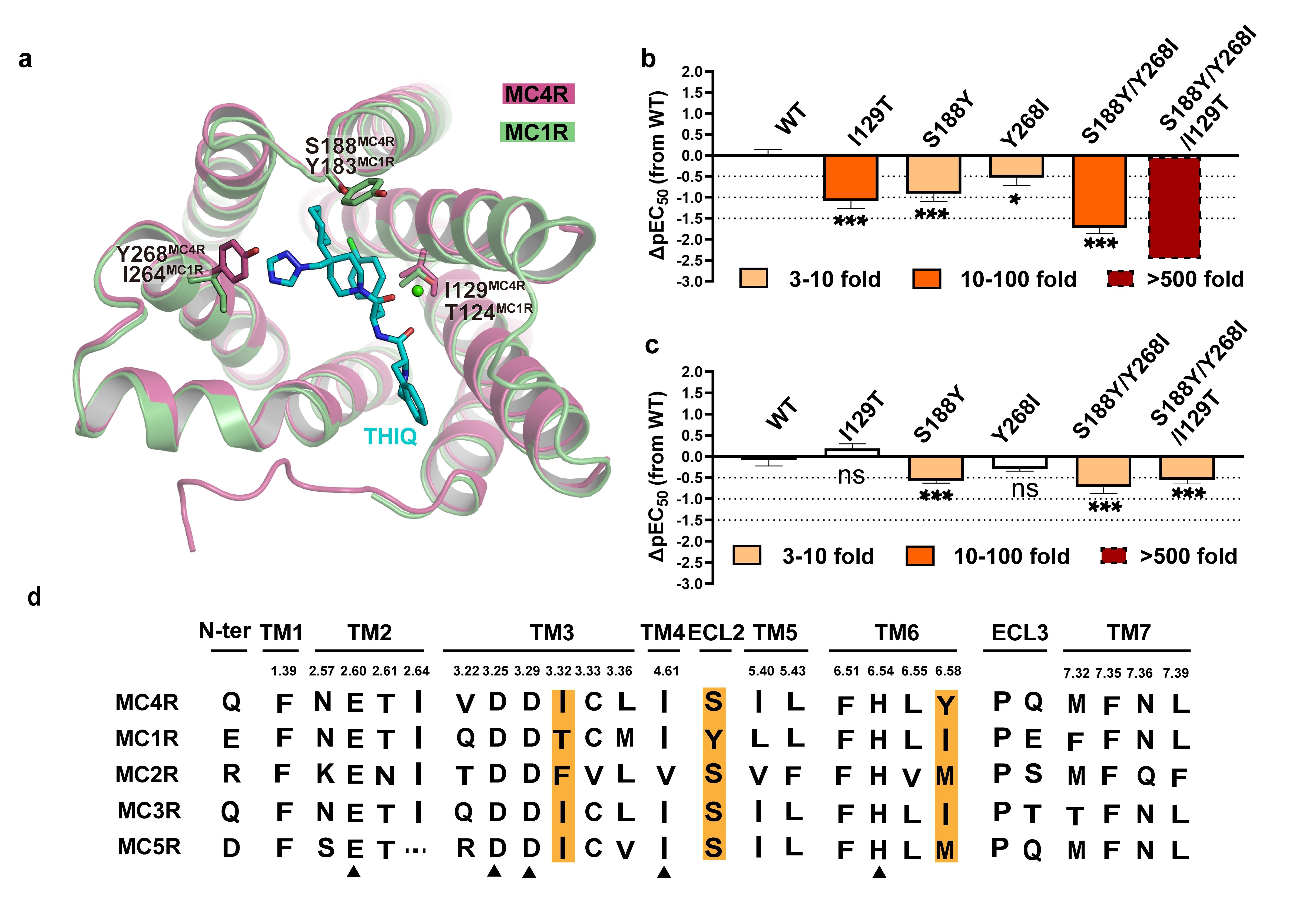 Novel therapeutics against obesity by activating melanocortin-4 receptor