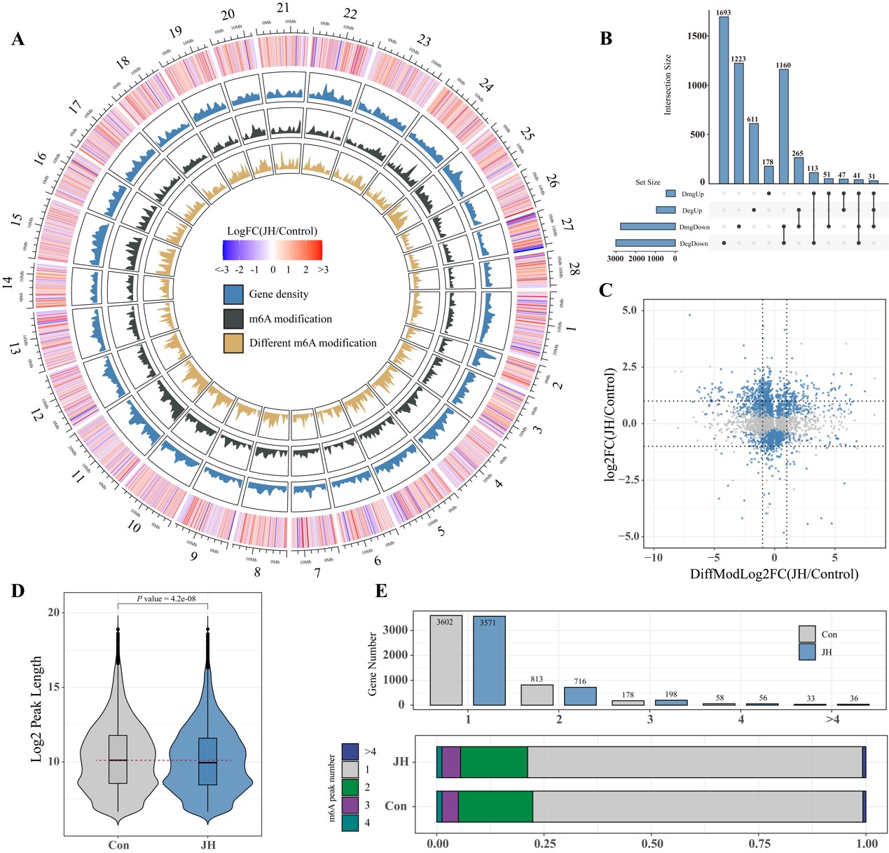 ZJU scientists illustrated the regulatory mechanism of silk gene expression